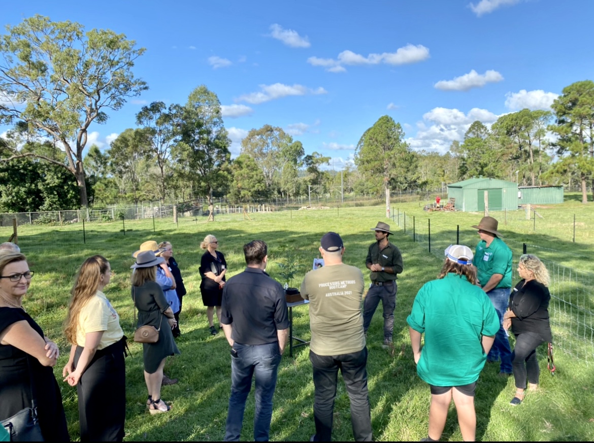 School making a sustainable difference - Our Logan