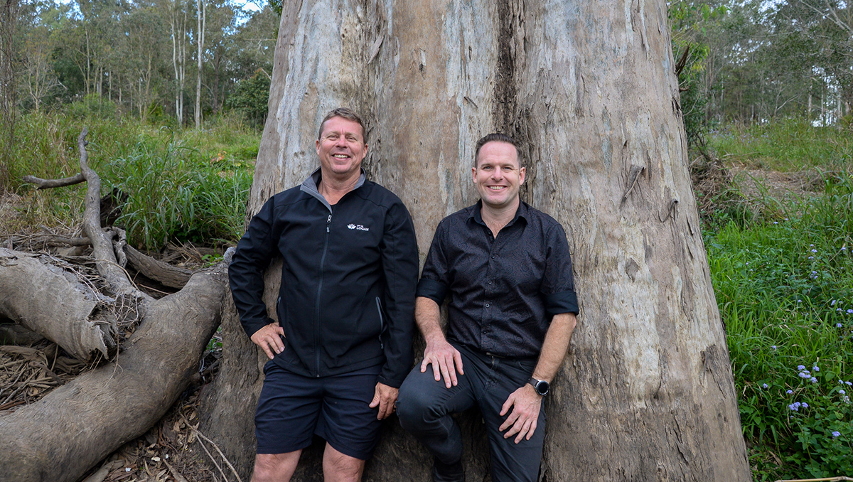 Tree testing finds new giant - Our Logan