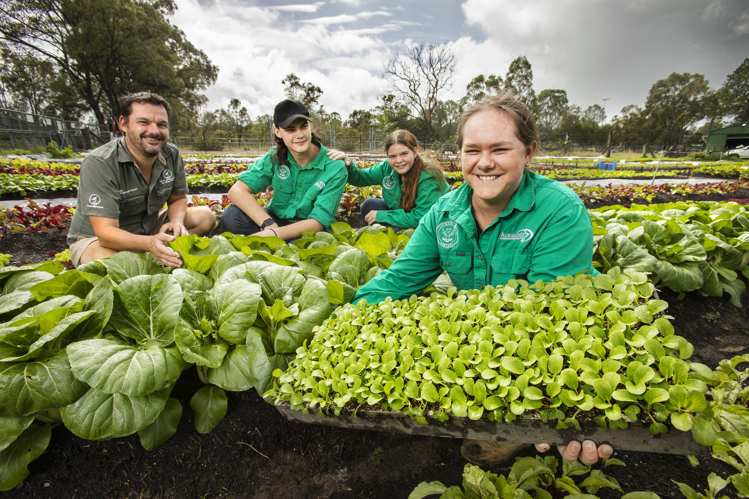 Mini farm makes a big impact - Our Logan