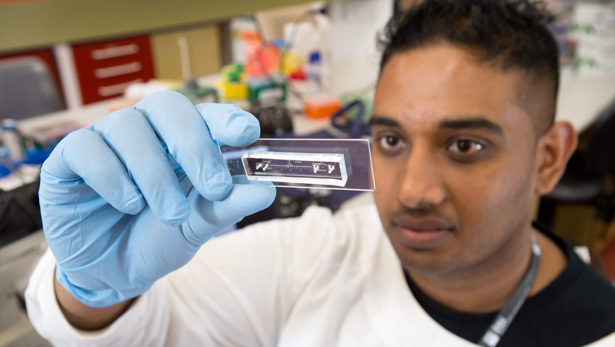 Local scientist’s cancer research breakthrough - Our Logan